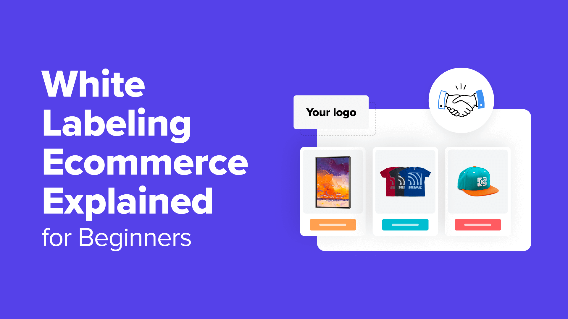 White Labeling Ecommerce Explained for Beginners - SnapBlox Knowledge Base